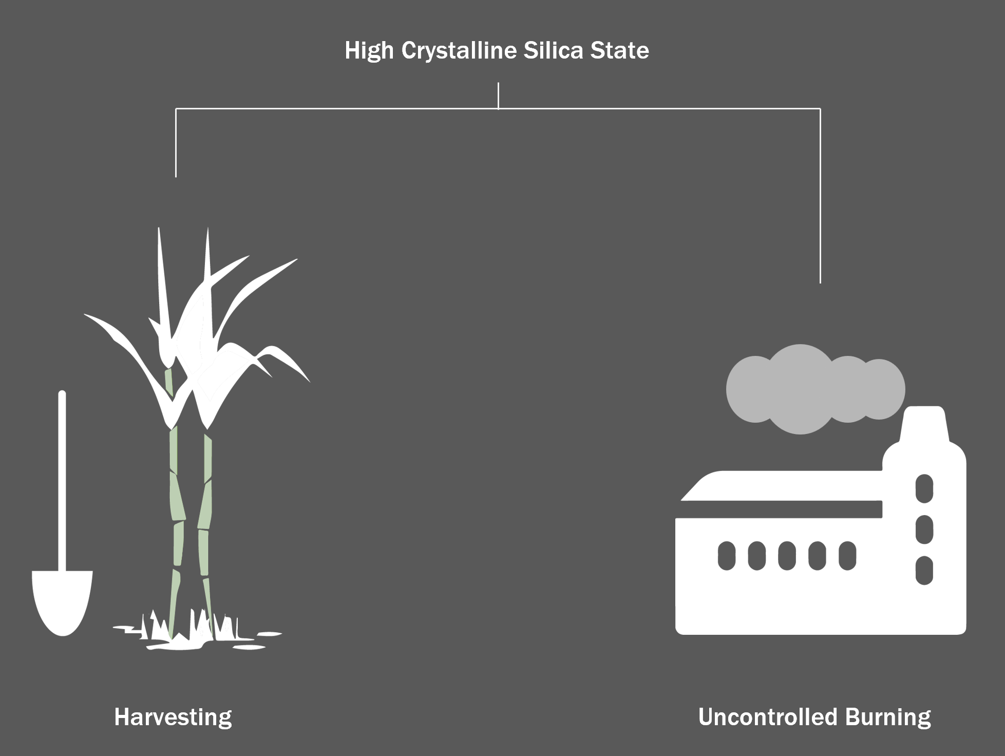 Moving Concrete to Green Pastures / DeepGreen Thesis Cluster – IAAC BLOG