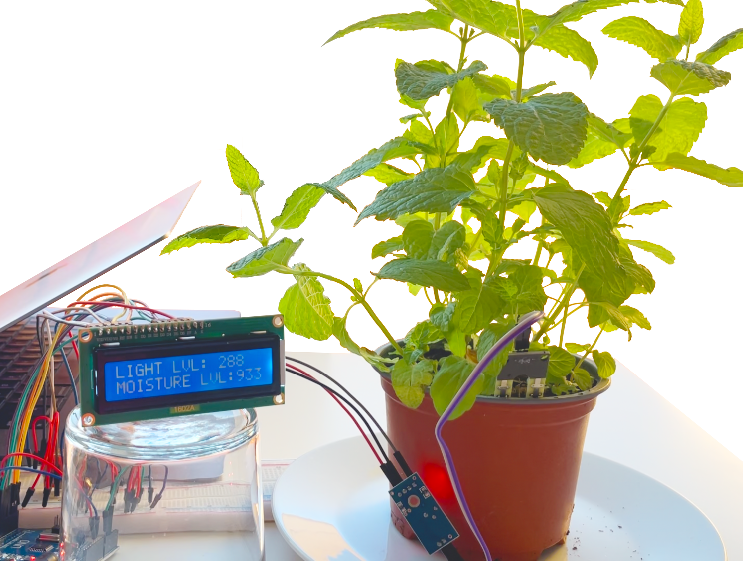 PLANT MONITOR – IAAC BLOG