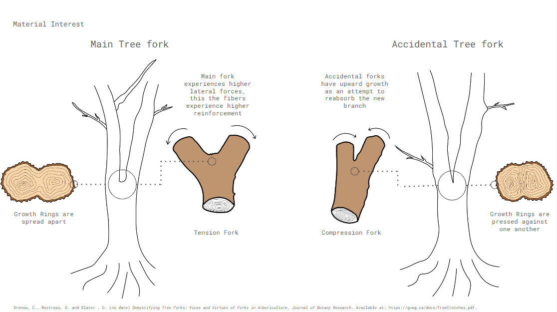 Natural Structures – IAAC BLOG