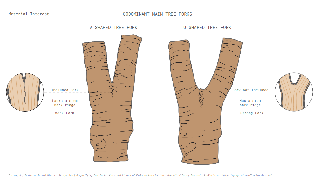 Natural Structures – IAAC BLOG