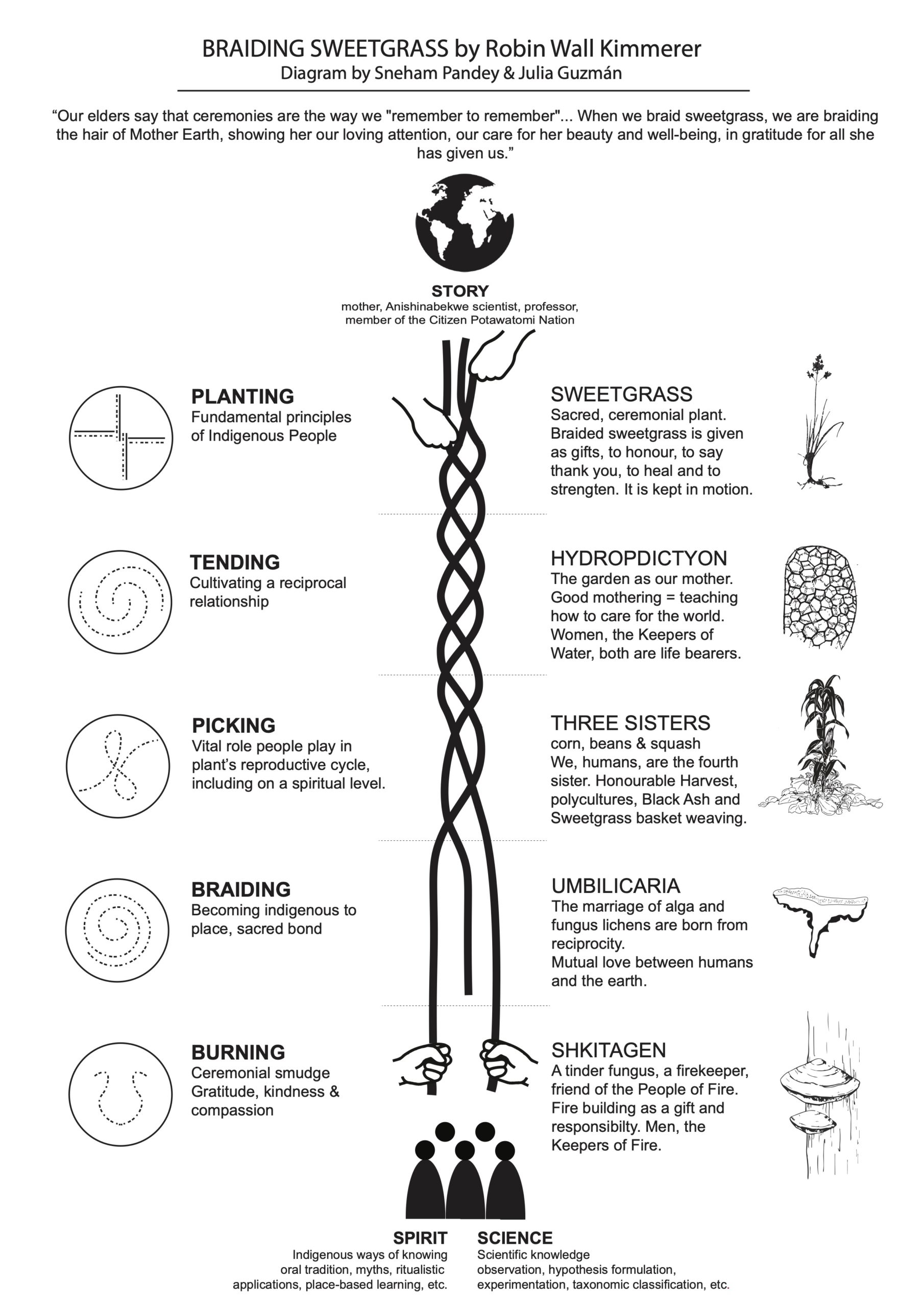 Braiding Sweetgrass – Robin Wall Kimmerer – IAAC BLOG