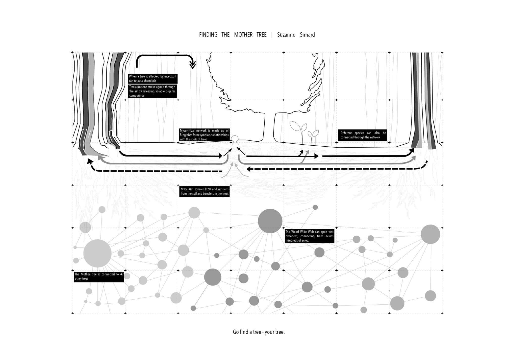 Finding the Mother Tree I Ecological Thinking II - IAAC BLOG