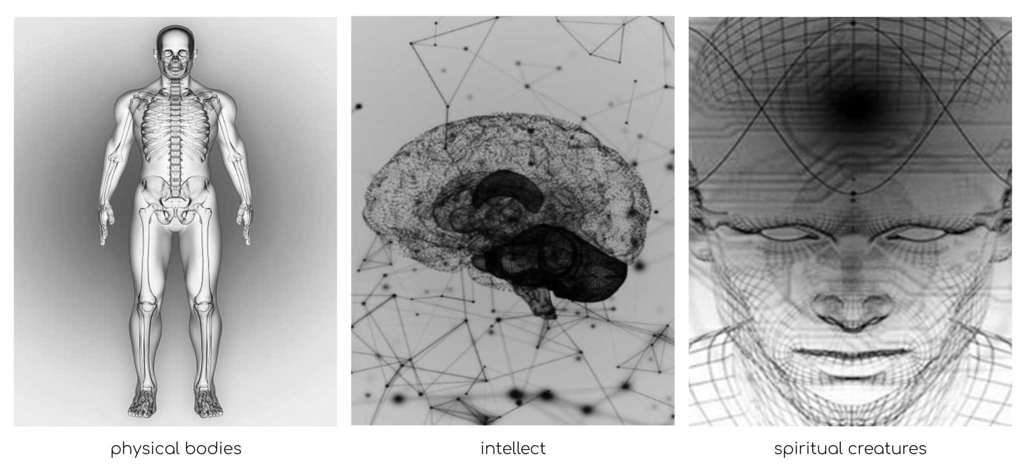 Who am I ? - IAAC BLOG