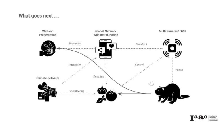 The Be(a)ver_ages – IAAC BLOG