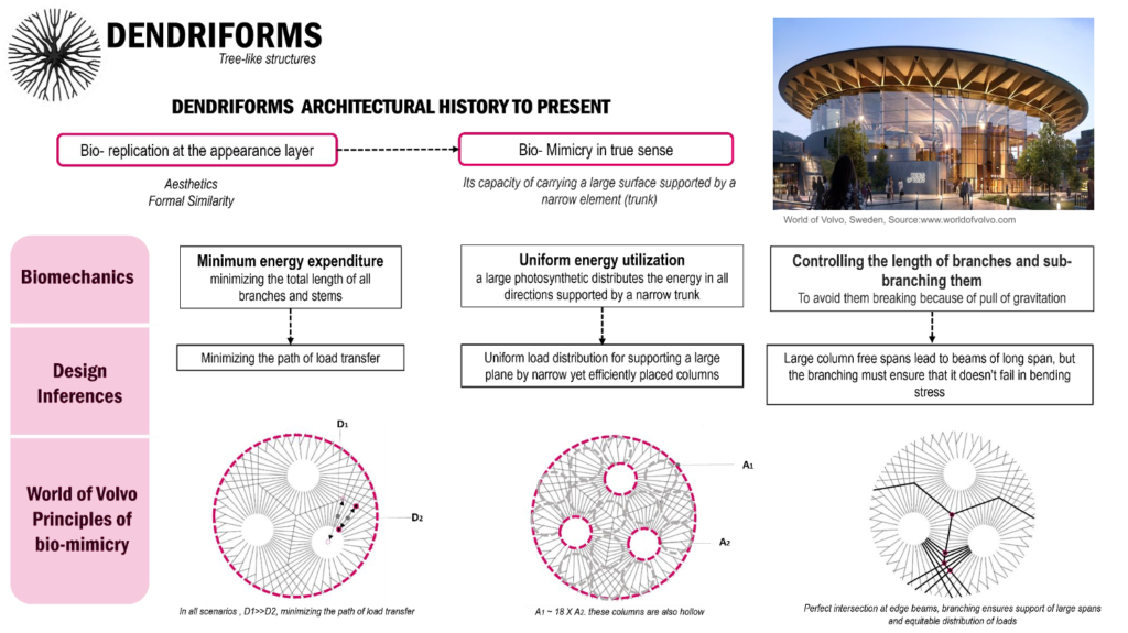 Architectural explorations of dendriforms – IAAC BLOG