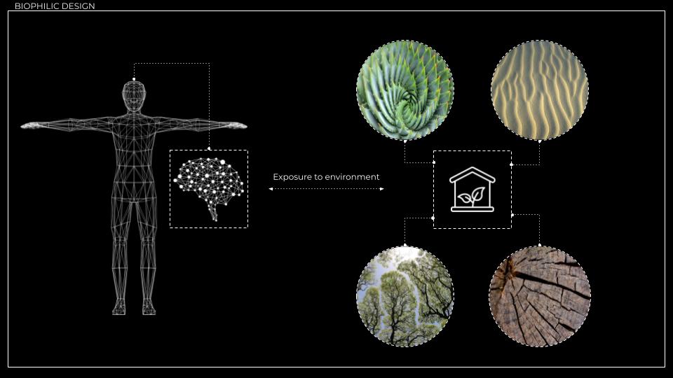 Neuro-Sensitive Spatial Biophilia – IAAC BLOG