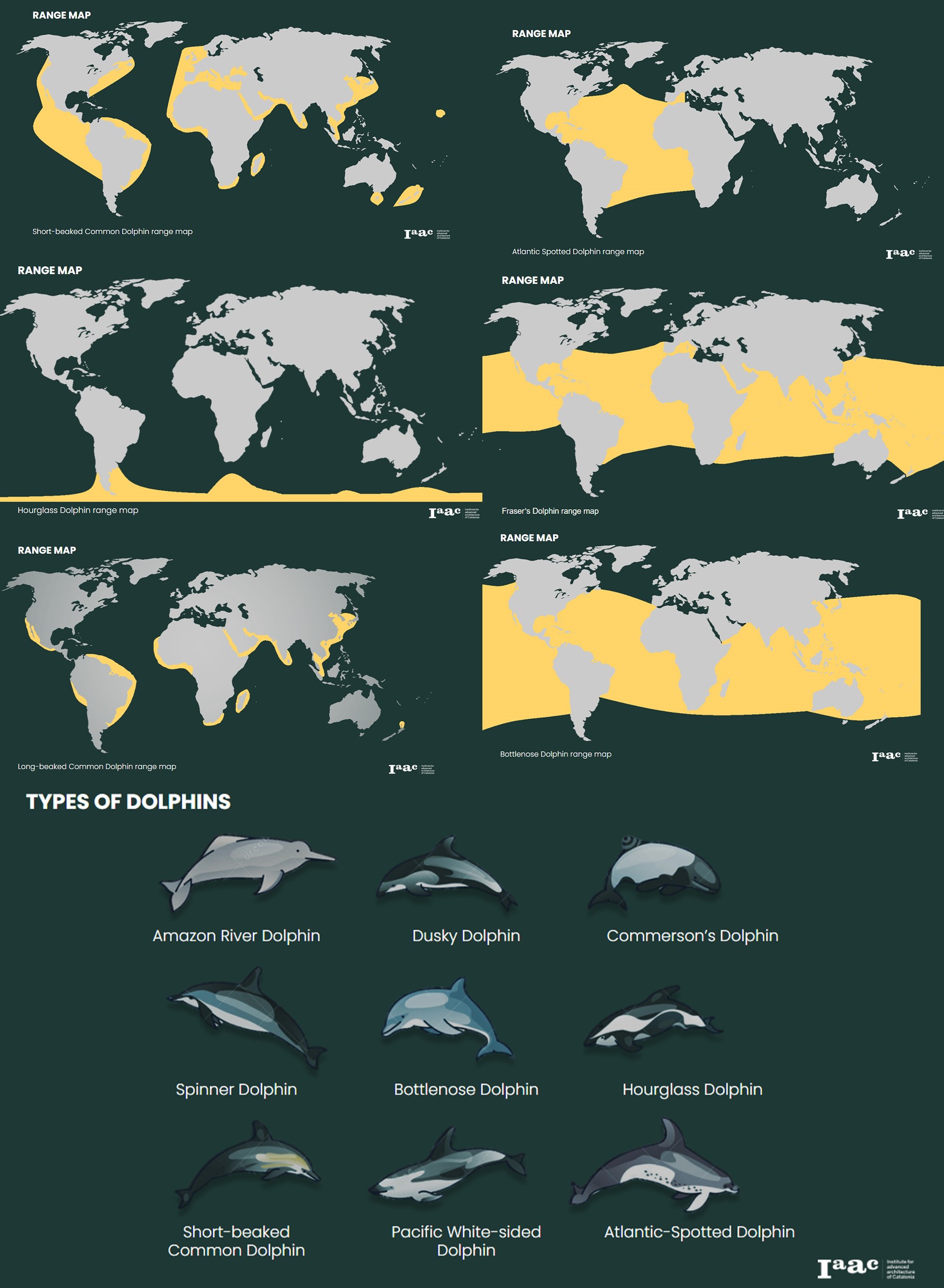 DOLPHIN DEFENDER – IAAC BLOG