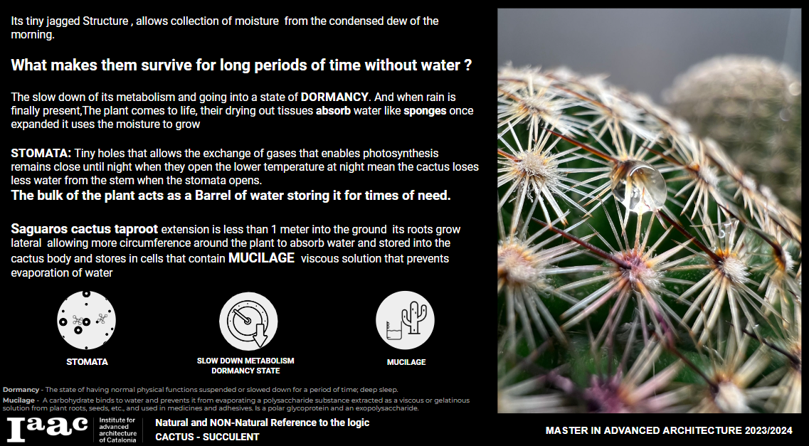 RAINWATER ABSORPTION SPONGE SYSTEM - IAAC BLOG