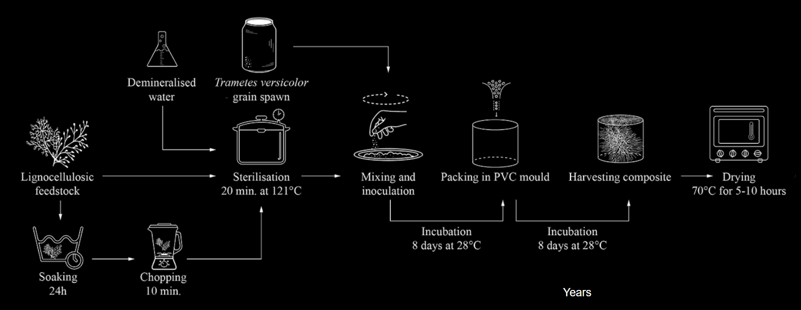 Mycelium in Construction for Catalonia - IAAC BLOG