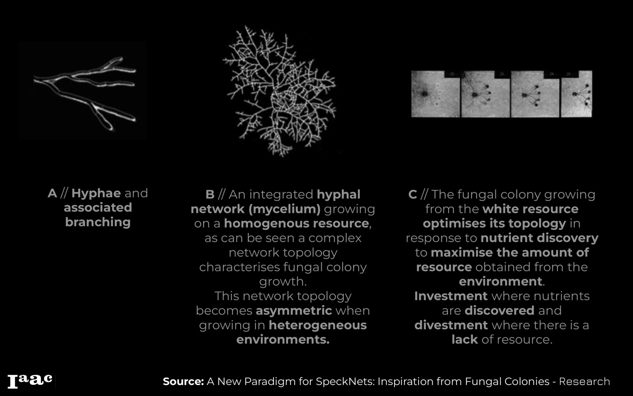 MYCELIUM NETWORKS – IAAC BLOG