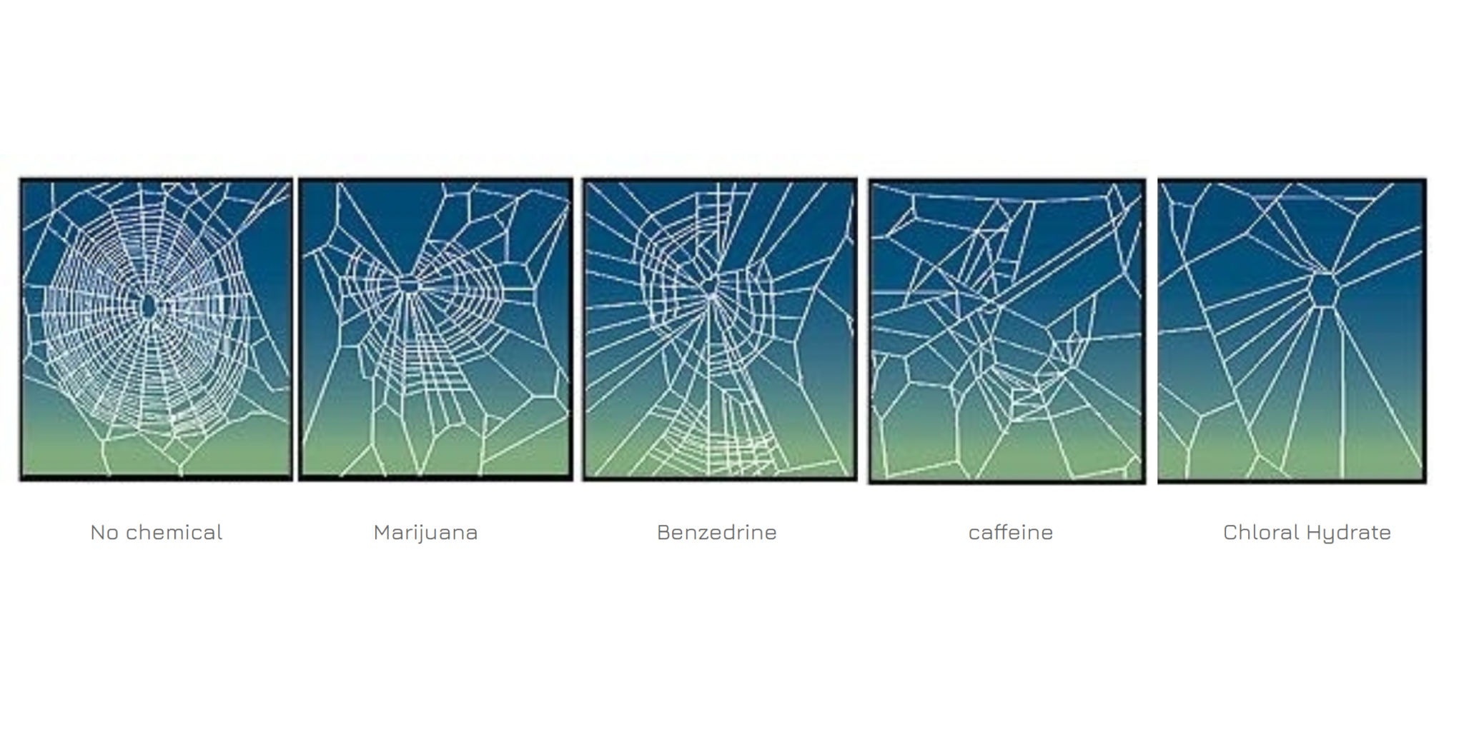 Spider Web Spinning - IAAC BLOG