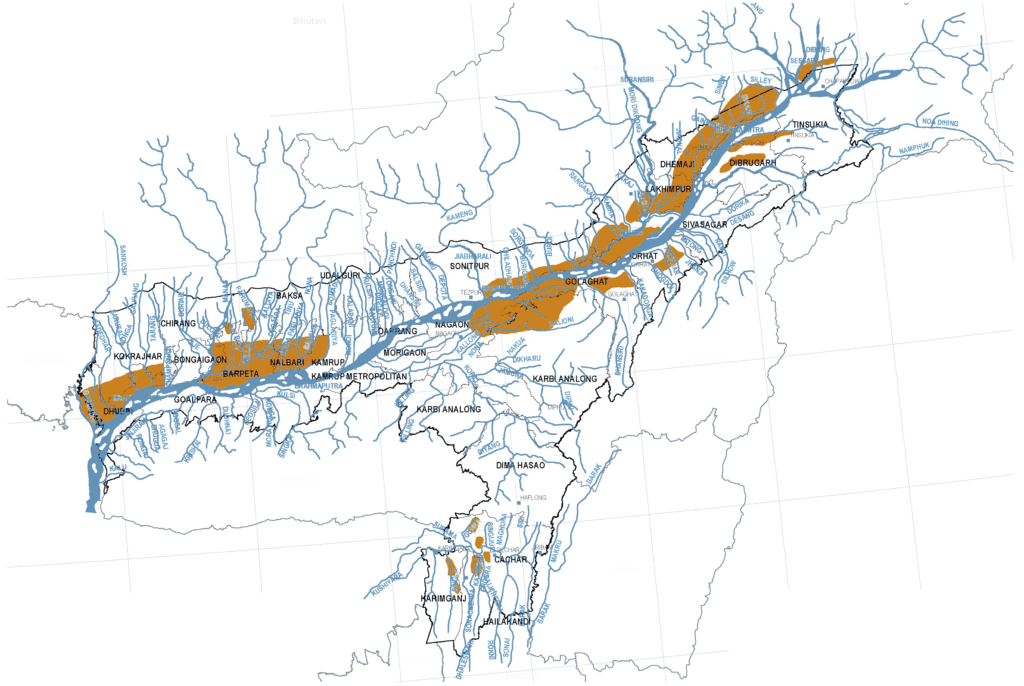 The Hugging Amphibian – IAAC BLOG