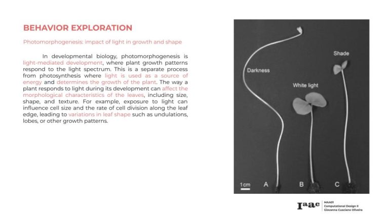 Plants Differential Growth – IAAC BLOG