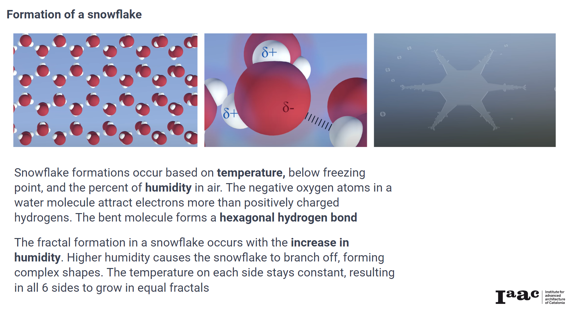 Snowflake Fractal Exploration – IAAC BLOG