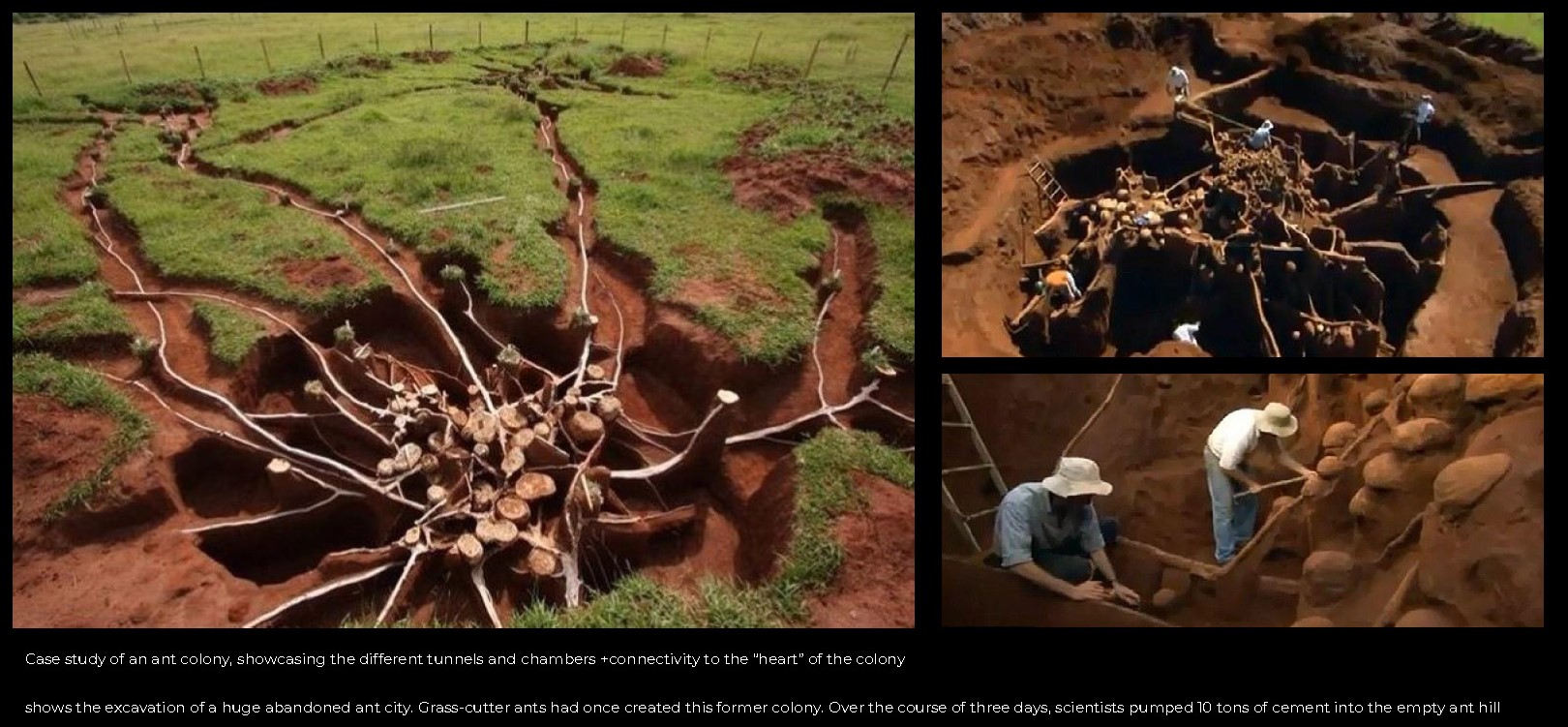 Mars Ant Colony - IAAC BLOG