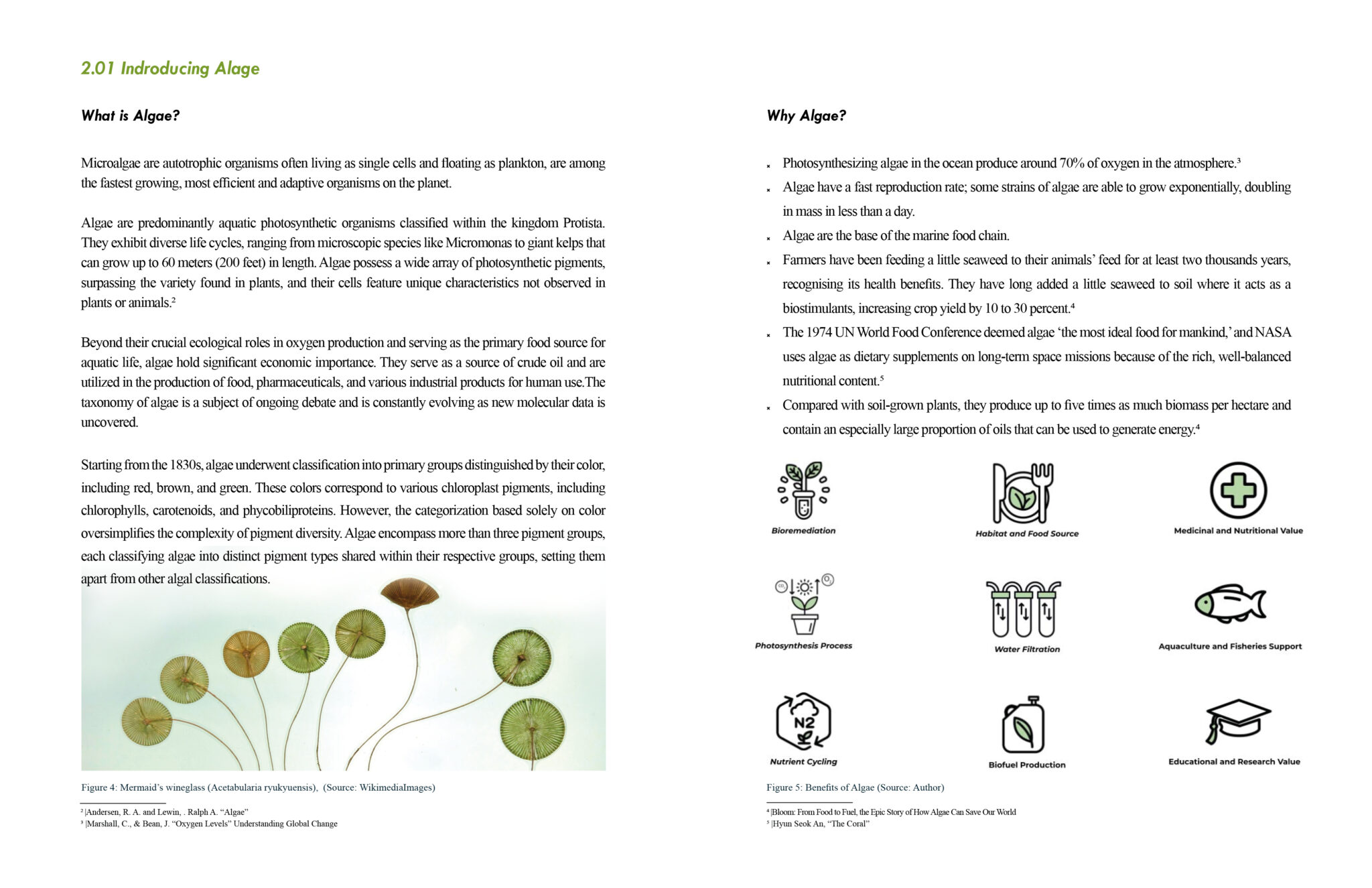 Nature’s Blueprint – IAAC BLOG