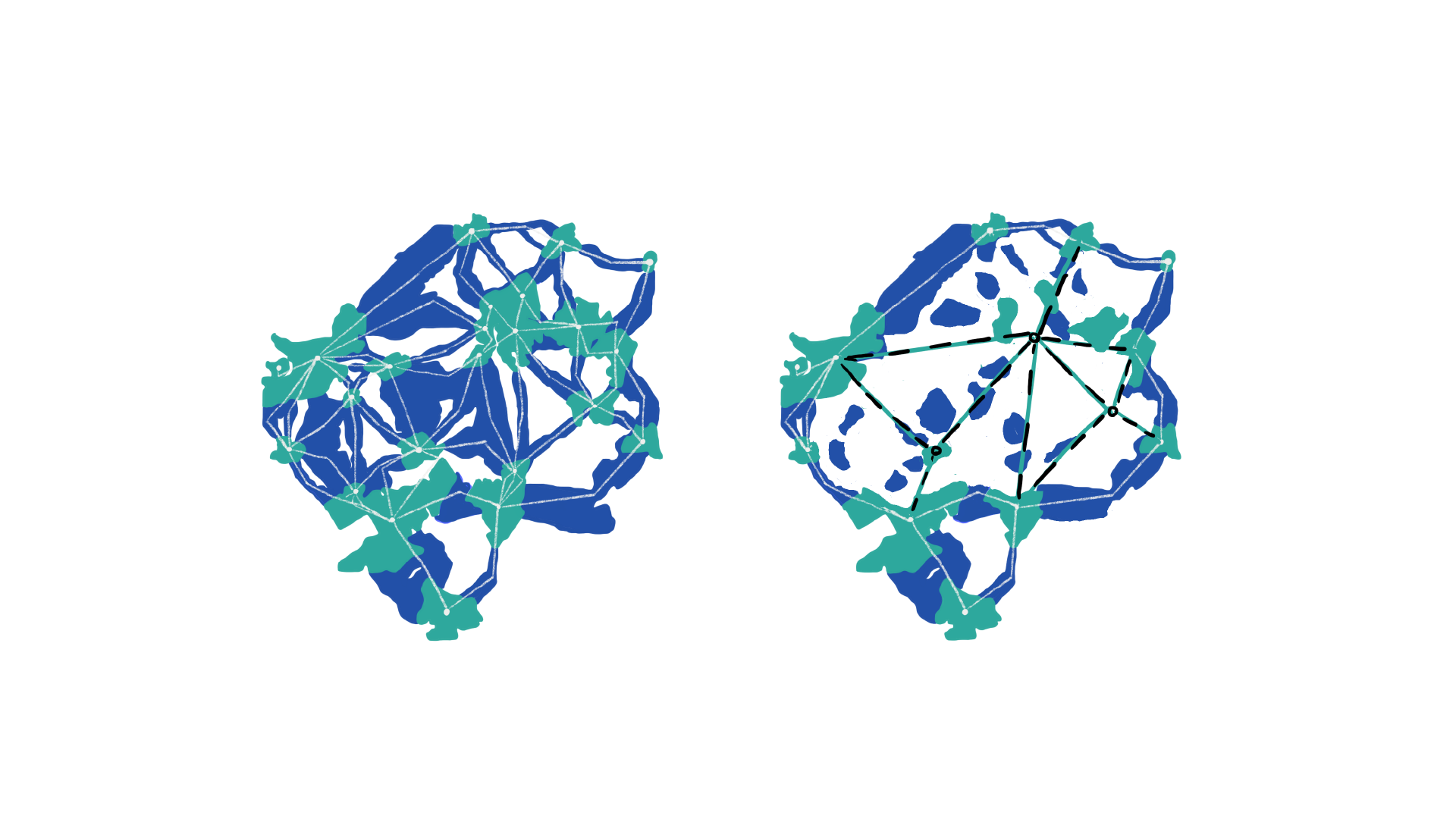 Bio Diverse City – IAAC BLOG