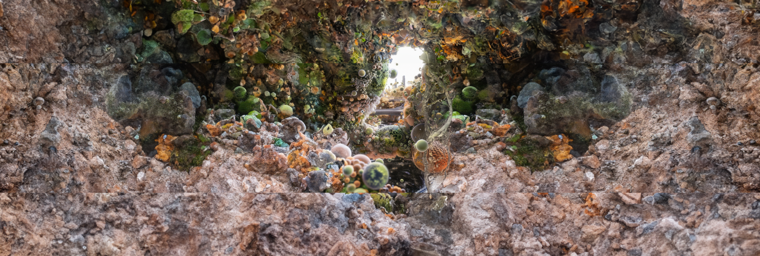 Turbulence and Regeneration - IAAC BLOG Turbulence and Regeneration - IAAC BLOG