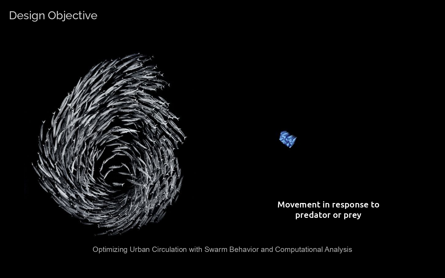 Computation Design – IAAC BLOG