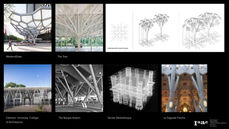 Optimization Tree Branching Fractals within Structure - IAAC BLOG