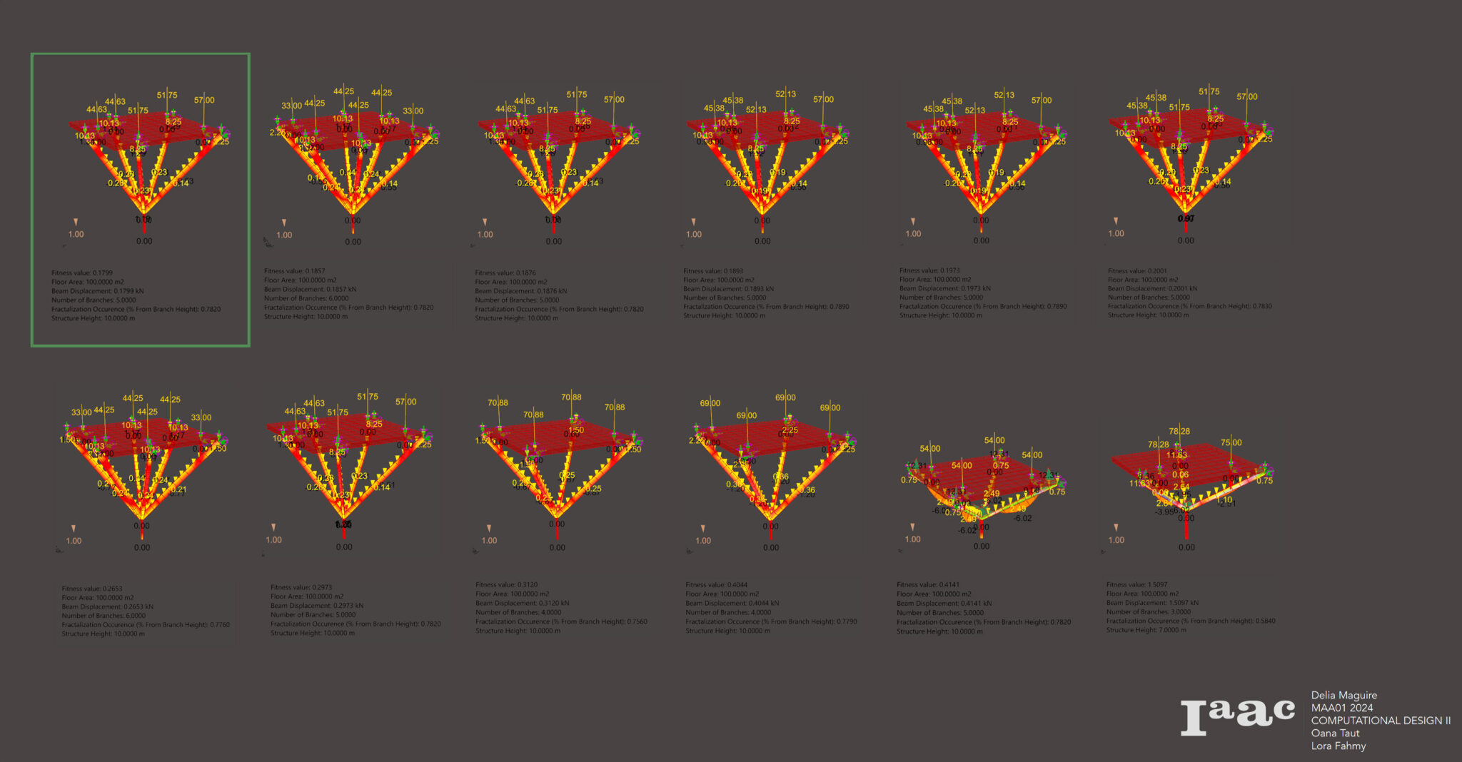 Optimization Tree Branching Fractals within Structure - IAAC BLOG