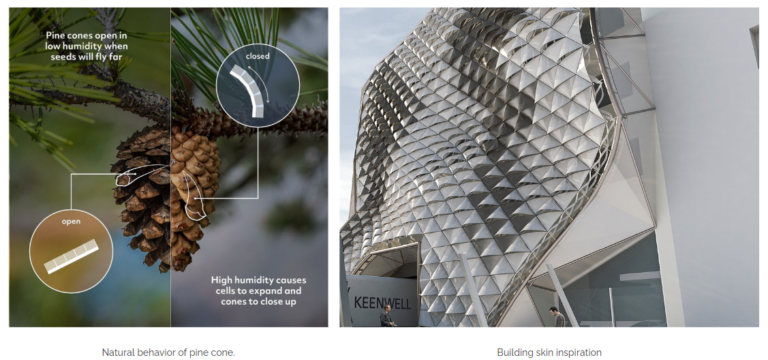 Optimizing the building skin inspired by pine cone – IAAC BLOG